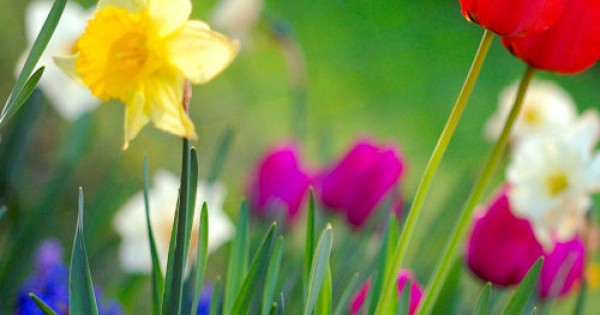 Does Spring Affect the Necessity for Insulation